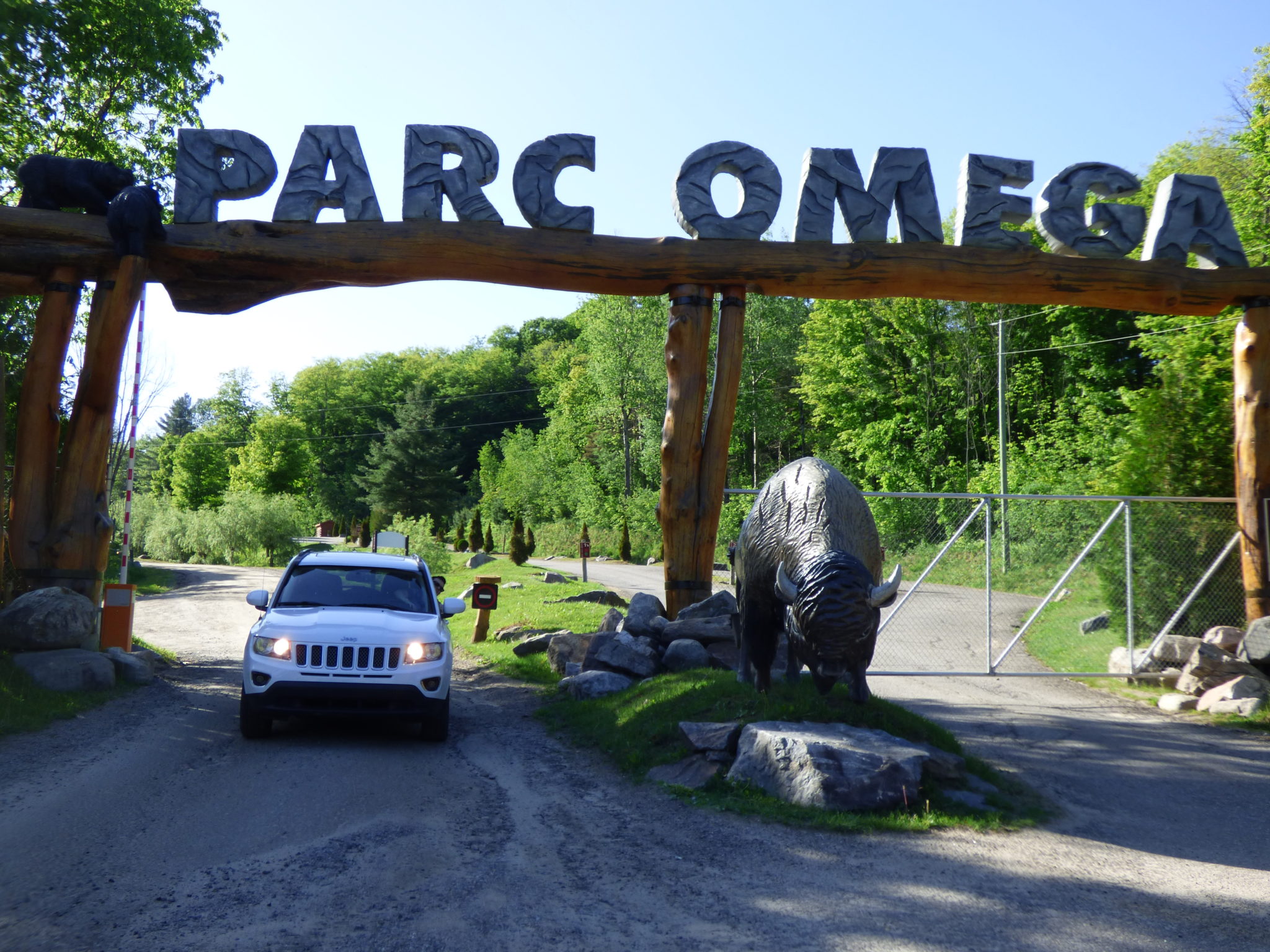 Un week-end au Parc Omega à Montebello | Canada | Voyage sur la comète